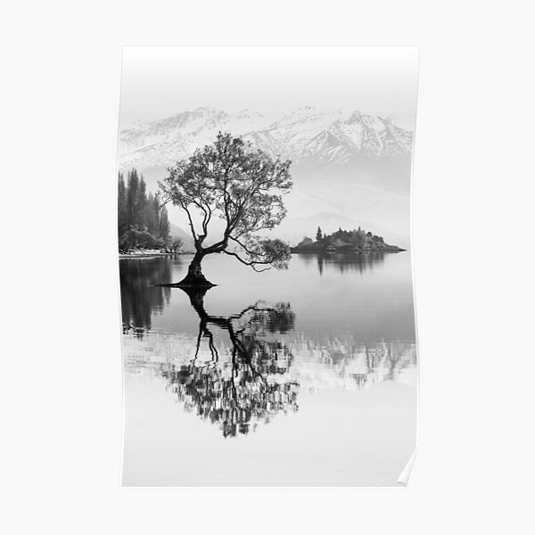 "Wanaka Tree Black and White New Zealand Landscape" Poster for Sale by ...