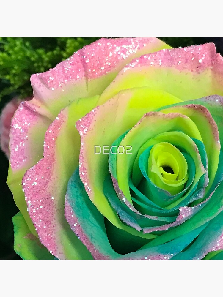 "PRIDE LGBTQIA: Rainbow-Colored Sparkly Roses Macro Photo" Poster for ...