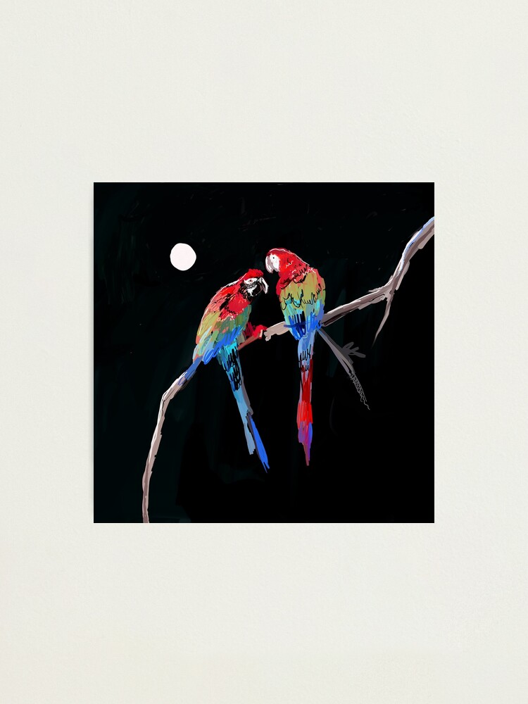 "two loving macaws in a branch of a tree on a full moon night | macow ...
