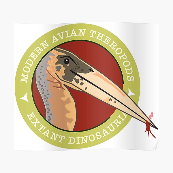 "Modern Avian Theropods - Extant Dinosauria - Leptoptilos crumenifer ...