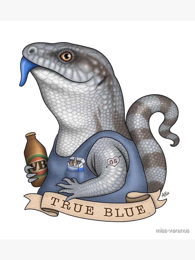 "Baz the Bluey" Poster for Sale by miss-varanus | Redbubble
