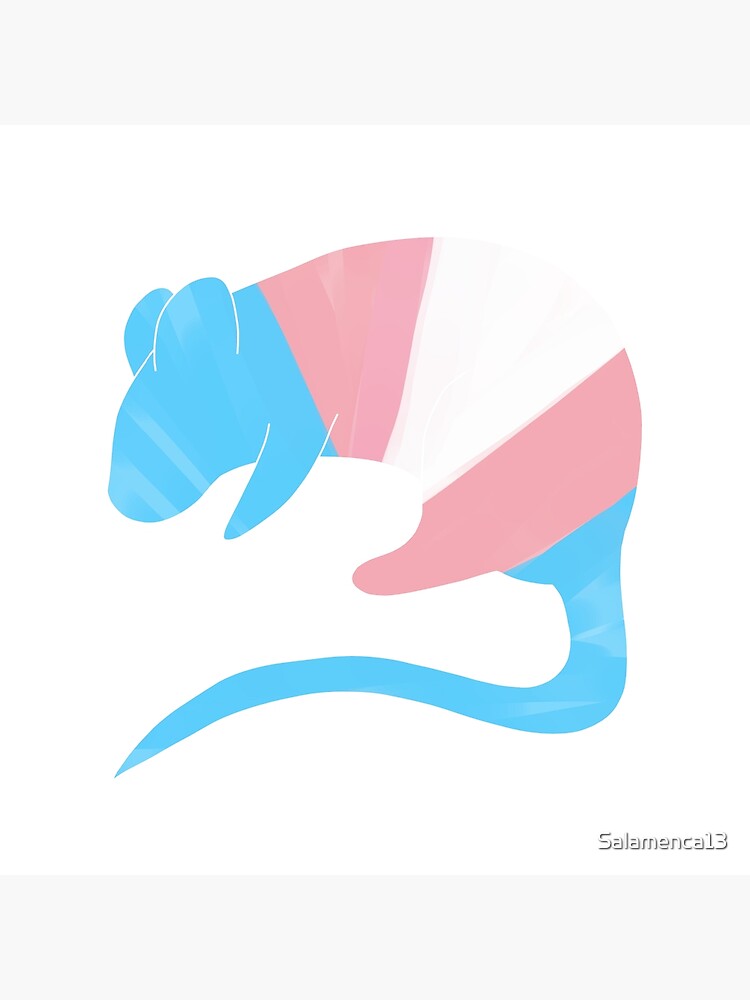 "Trans Pride Rat" Poster for Sale by Salamenca13 | Redbubble