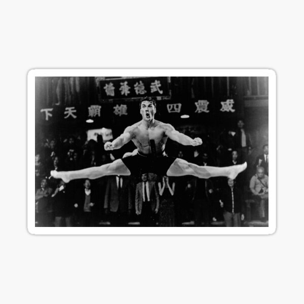 Bloodsport Movie Stickers | Redbubble