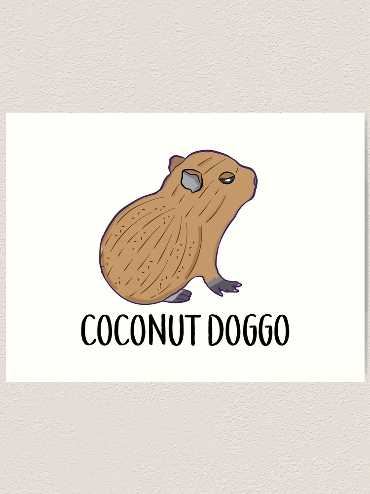 "Coconut Doggo Capybara Cute Meme Kawaii Baby Capybara" Art Print for ...