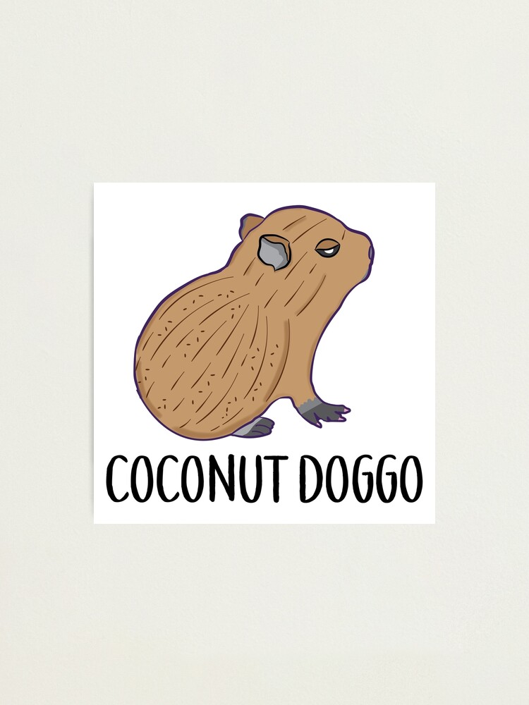 Impression photo « Coco Doggo Capybara Cute Meme Kawaii Baby Capybara ...