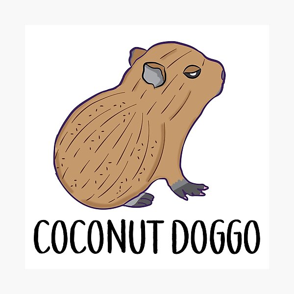 Impression photo « Coco Doggo Capybara Cute Meme Kawaii Baby Capybara ...