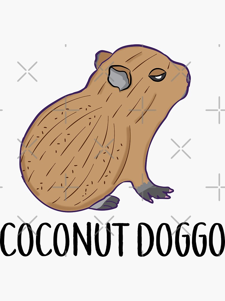 "Coconut Doggo Capybara Cute Meme Kawaii Baby Capybara" Sticker for ...