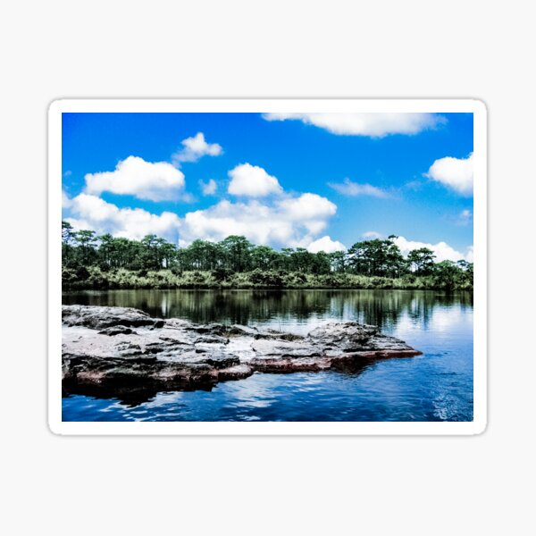 "Pond" Sticker for Sale by M-AbdelRahman | Redbubble