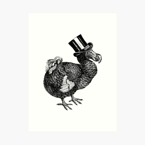 "Mr Dodo | Vintage Dodos | Black and White | " Art Print by ...