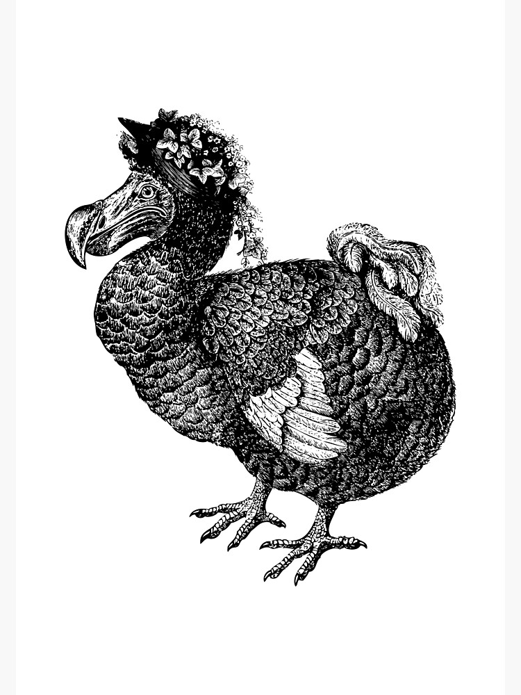 "Mrs Dodo | Vintage Dodos | Black and White | " Poster by ...