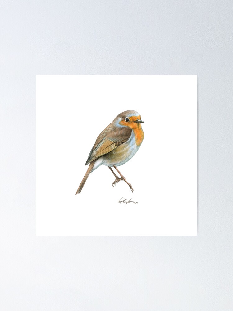 "robin" Poster for Sale by LucaMilioneArt | Redbubble