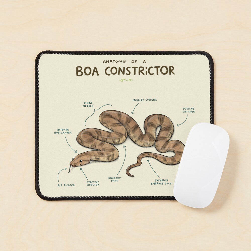 "Anatomy of a Boa Constrictor" Poster for Sale by SophieCorrigan | Redbubble