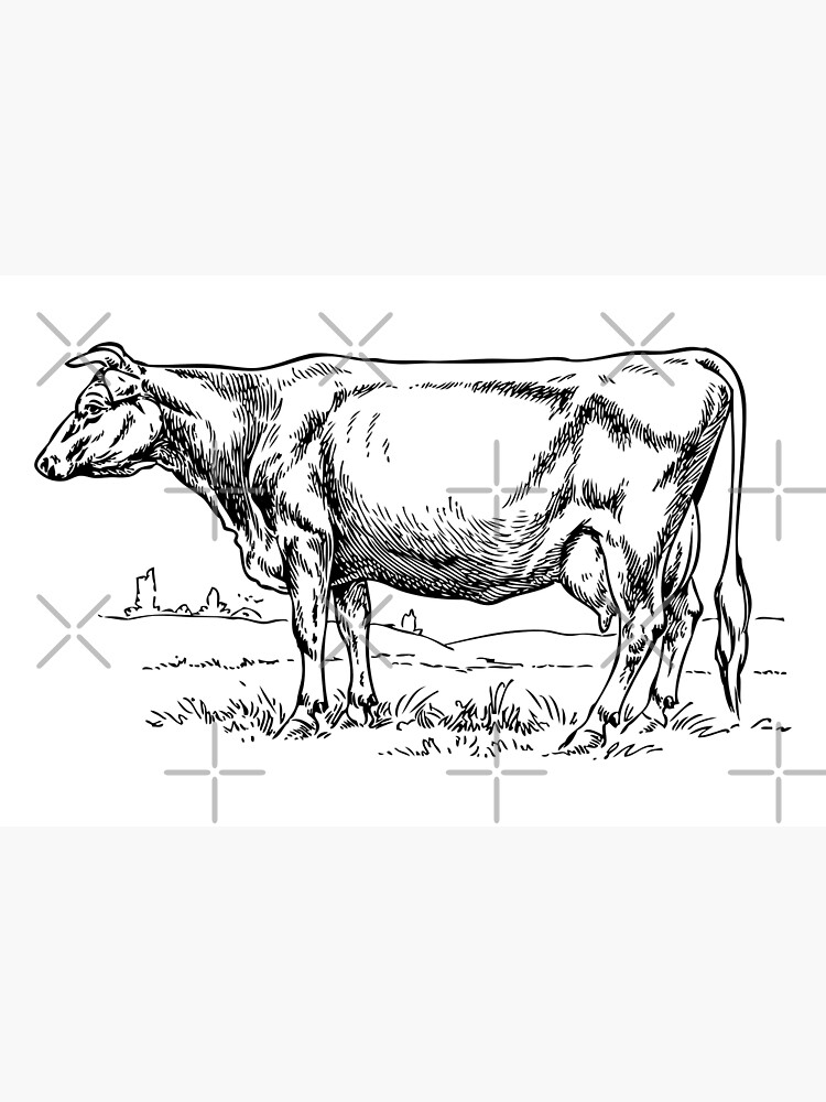 "Cow" Poster for Sale by hrcdesign | Redbubble