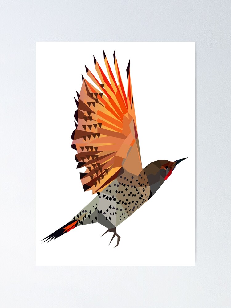 "Western flicker, Flying bird art" Poster for Sale by villavera | Redbubble