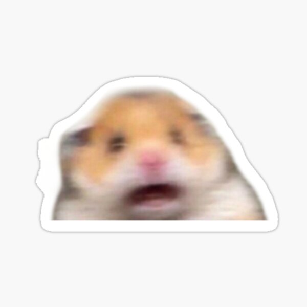 "scared meme funny" Sticker by ETUSTORE | Redbubble
