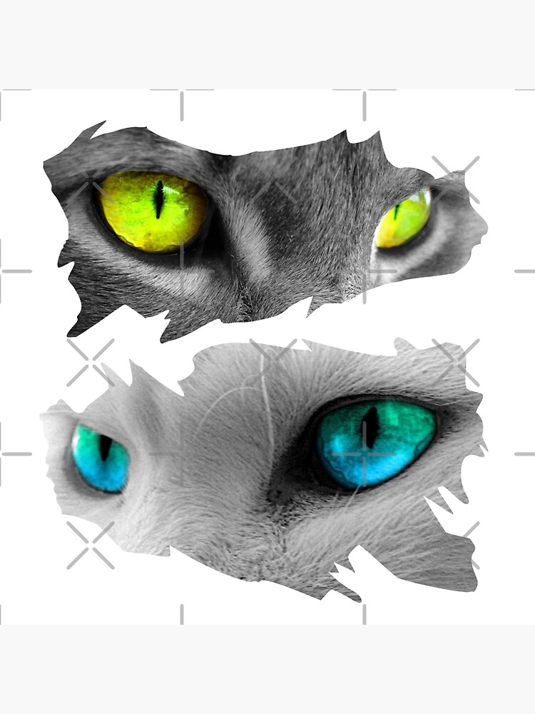 "Cat eyes" Sticker for Sale by Mdesign-Art | Redbubble
