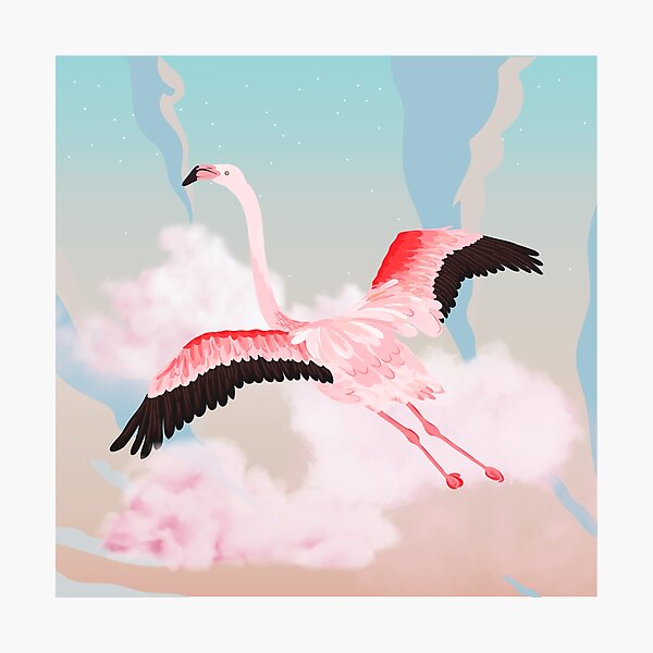 Lámina fotográfica «Flamenco volando en el cielo ilustración ...