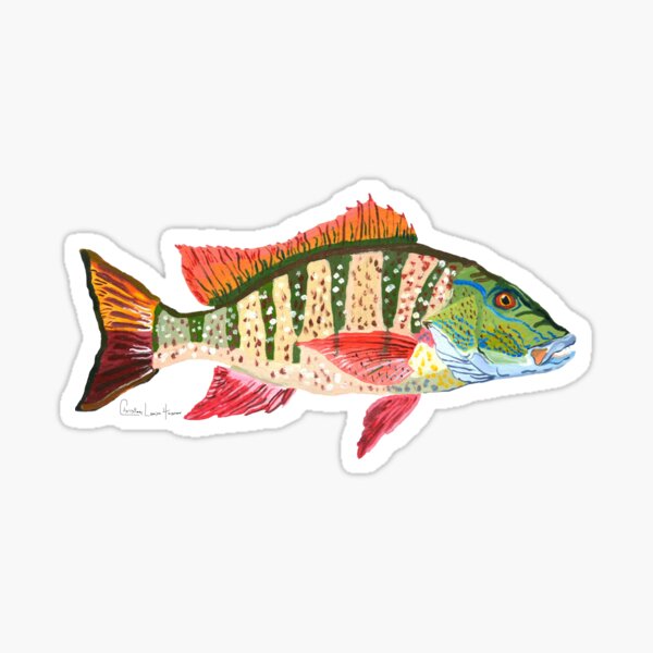"Mutton Snapper" Sticker for Sale by christinahewson | Redbubble