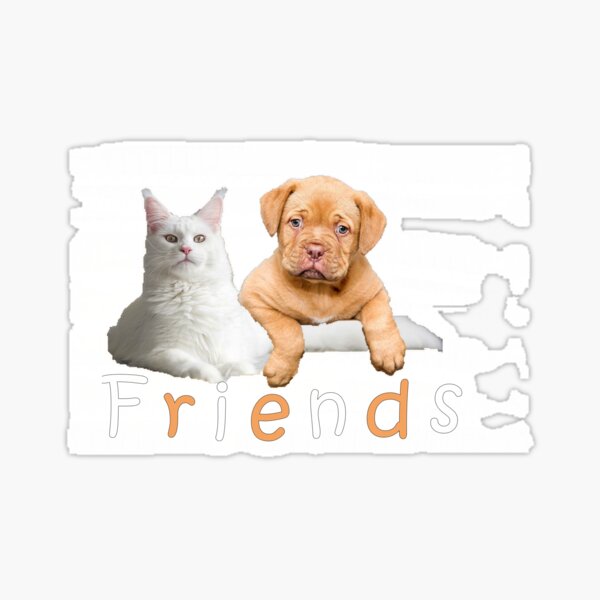 "cat and dog friends" Sticker for Sale by happyyydesign | Redbubble