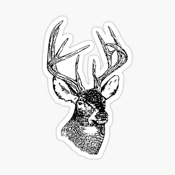 "deer head" Sticker for Sale by hrcdesign | Redbubble