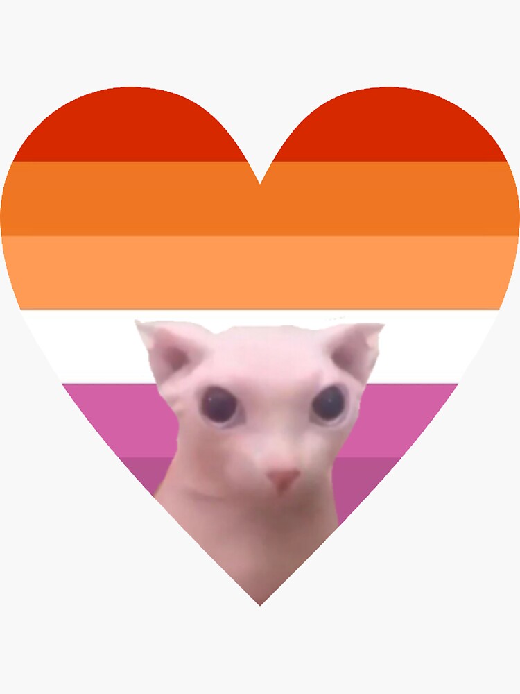 "Bingus Pride 1" Sticker by picku | Redbubble