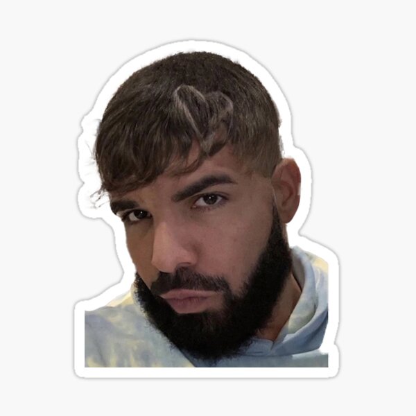 "Drake Meme" Sticker for Sale by ryanpicollo | Redbubble