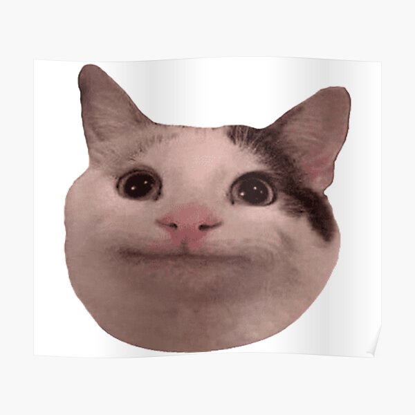 "Funny Cat Beluga Meme" Poster for Sale by sixzi | Redbubble