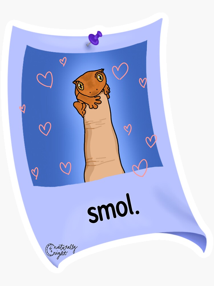 "very smol." Sticker for Sale by NaturallyNight | Redbubble