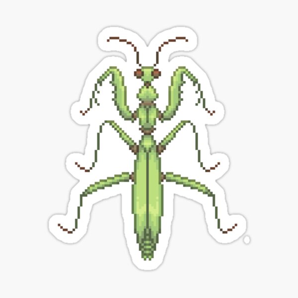 Praying Mantis Stickers | Redbubble