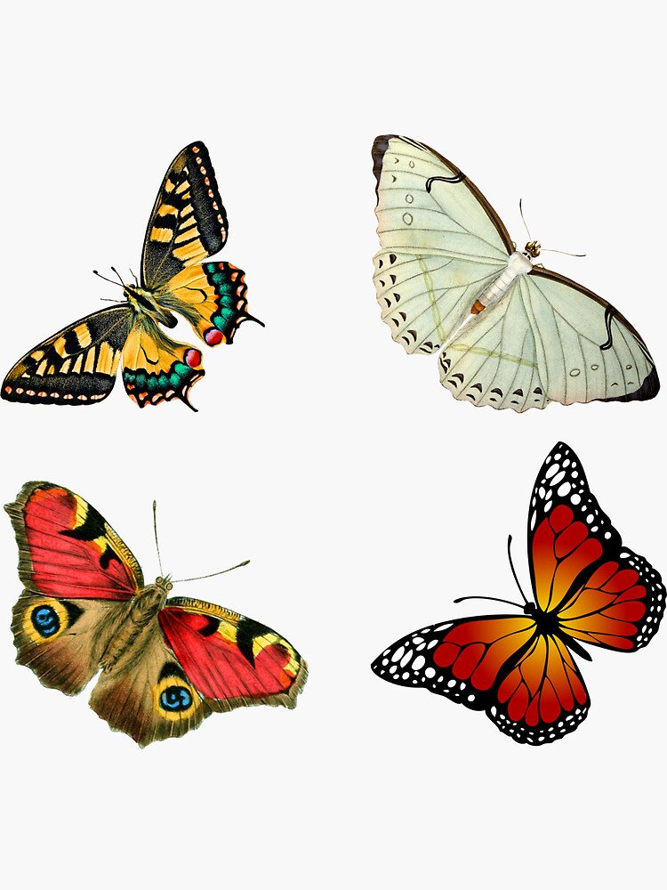 "Butterfly Pack" Sticker for Sale by sweary12 | Redbubble