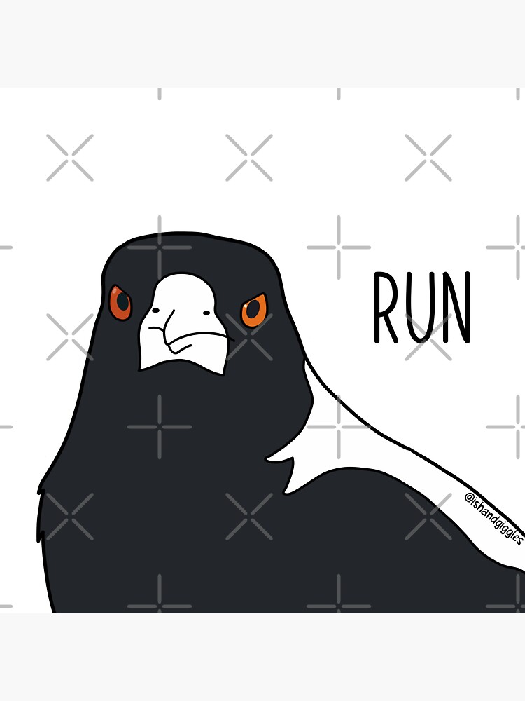 "Angry Australian Birds - Magpie Run" Sticker for Sale by IshAndGiggles ...