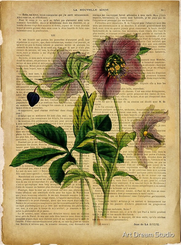 "Botanical print, on old book page - flowers" by Lily D | Redbubble