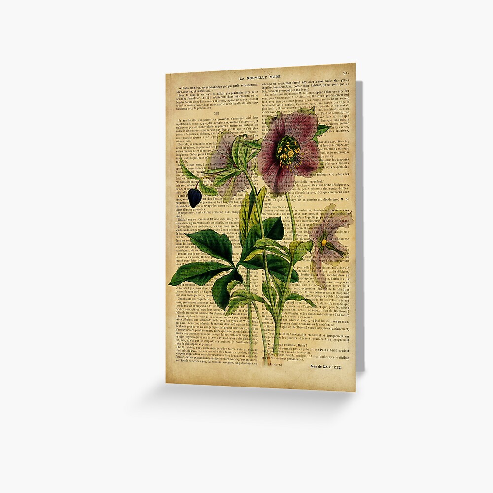 "Botanical print, on old book page - flowers" Greeting Card for Sale by ...