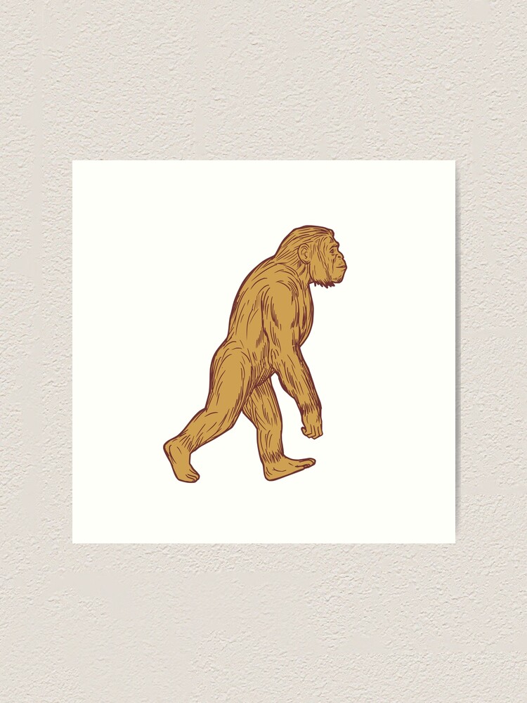 "Homo Habilis Walking Side Drawing" Art Print for Sale by patrimonio ...