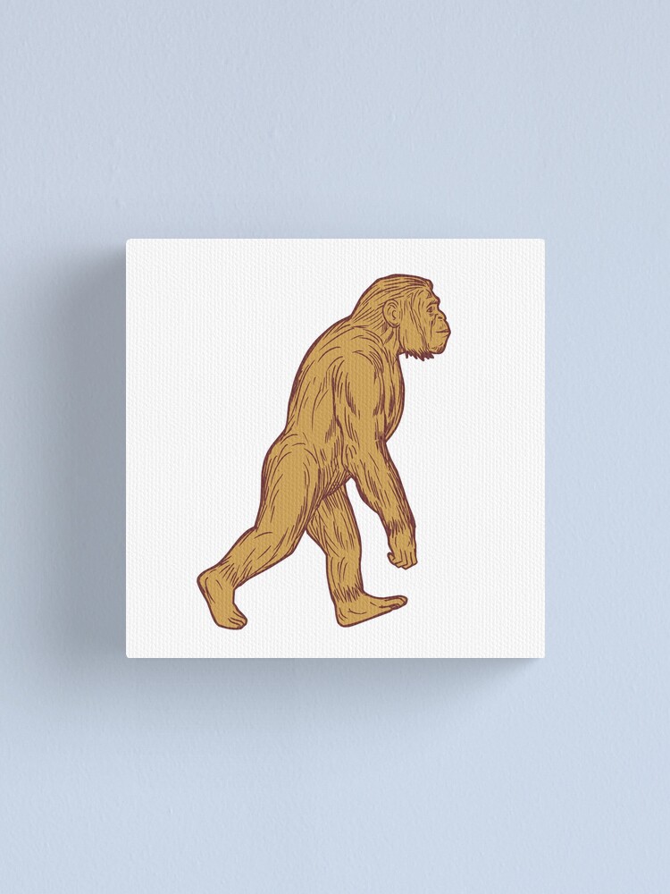 "Homo Habilis Walking Side Drawing" Canvas Print for Sale by patrimonio ...