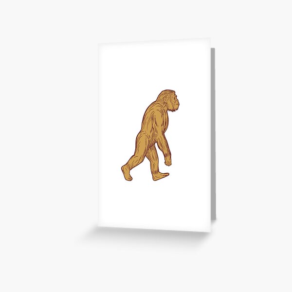 "Homo Habilis Walking Side Drawing" Greeting Card by patrimonio | Redbubble