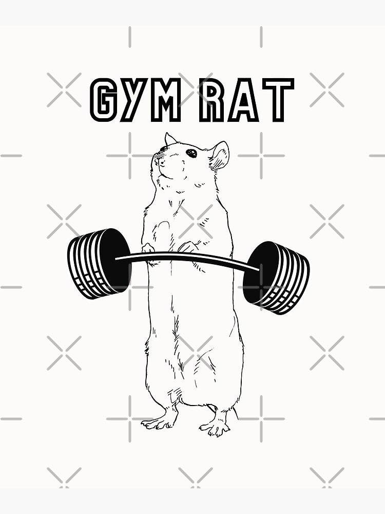 "GYM RAT" Poster for Sale by KDM-Designs | Redbubble