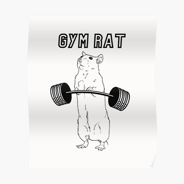 "GYM RAT" Poster for Sale by KDM-Designs | Redbubble