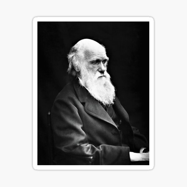 "Charles Darwin" Sticker by Presly | Redbubble