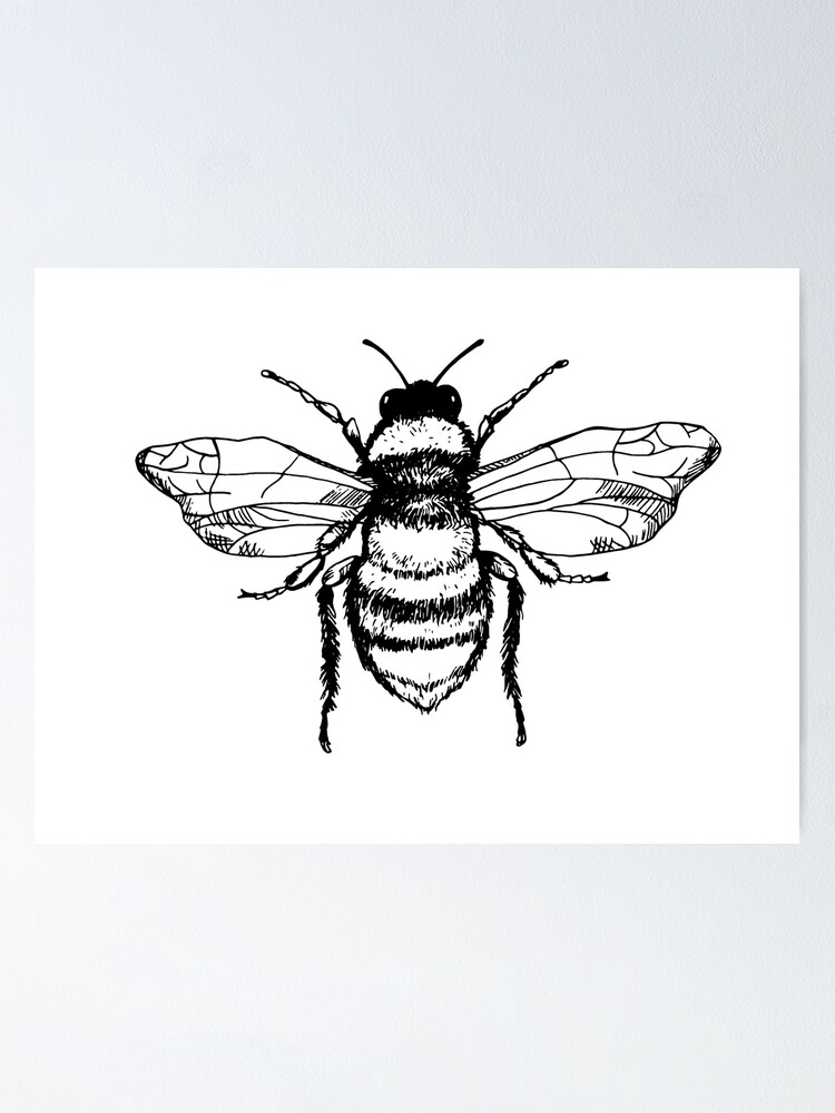 "Sketch drawing Bee or Bumblebee line art" Poster for Sale by ...
