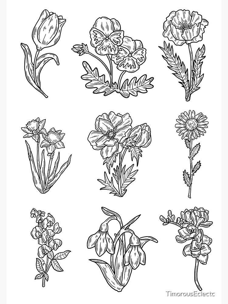 "Botanical Line Drawings - Cottagecore Aesthetic" Spiral Notebook for ...