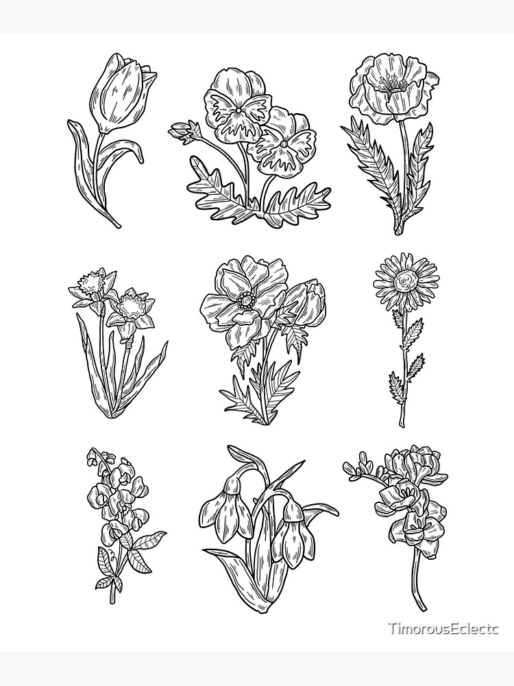 "Botanical Line Drawings - Cottagecore Aesthetic" Poster for Sale by ...