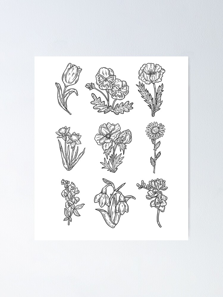 "Botanical Line Drawings - Cottagecore Aesthetic" Poster for Sale by ...