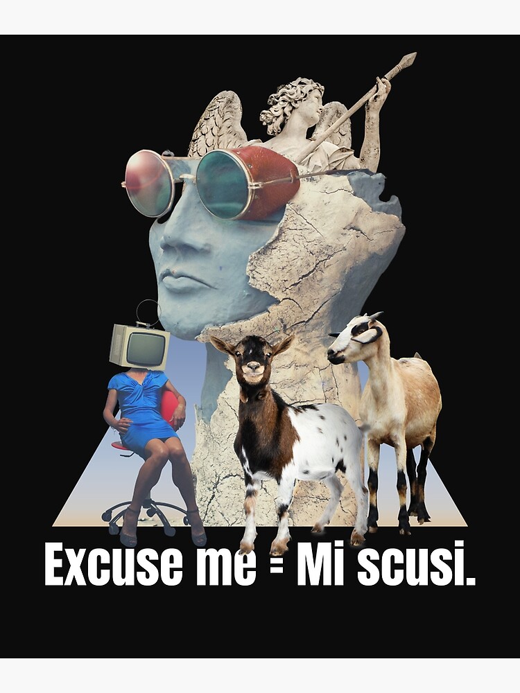"Excuse Me | Mi scusi (Italian )" Poster for Sale by MixyMugs | Redbubble