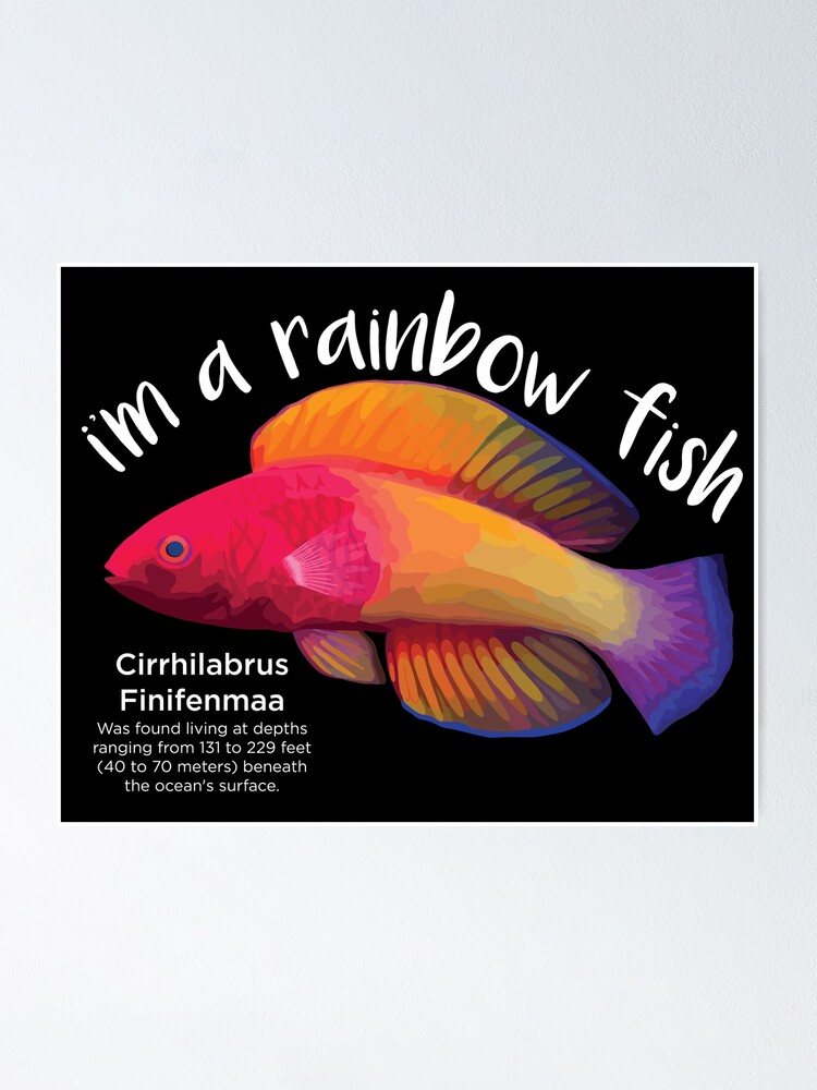 "Rainbow Fish" Poster for Sale by Influnecedby | Redbubble