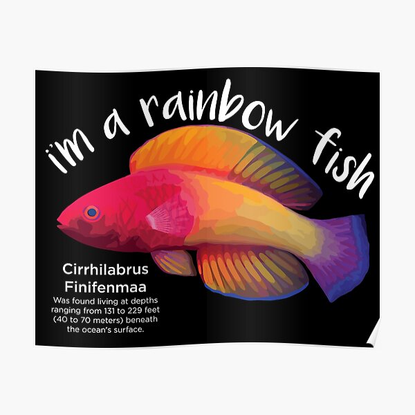 "Rainbow Fish" Poster for Sale by Influnecedby | Redbubble