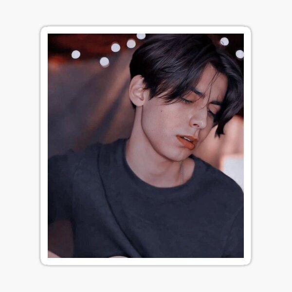 "Aidan Gallagher" Sticker for Sale by aforartists | Redbubble