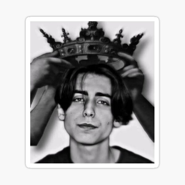 "Aidan Gallagher Cute" Sticker for Sale by aforartists | Redbubble