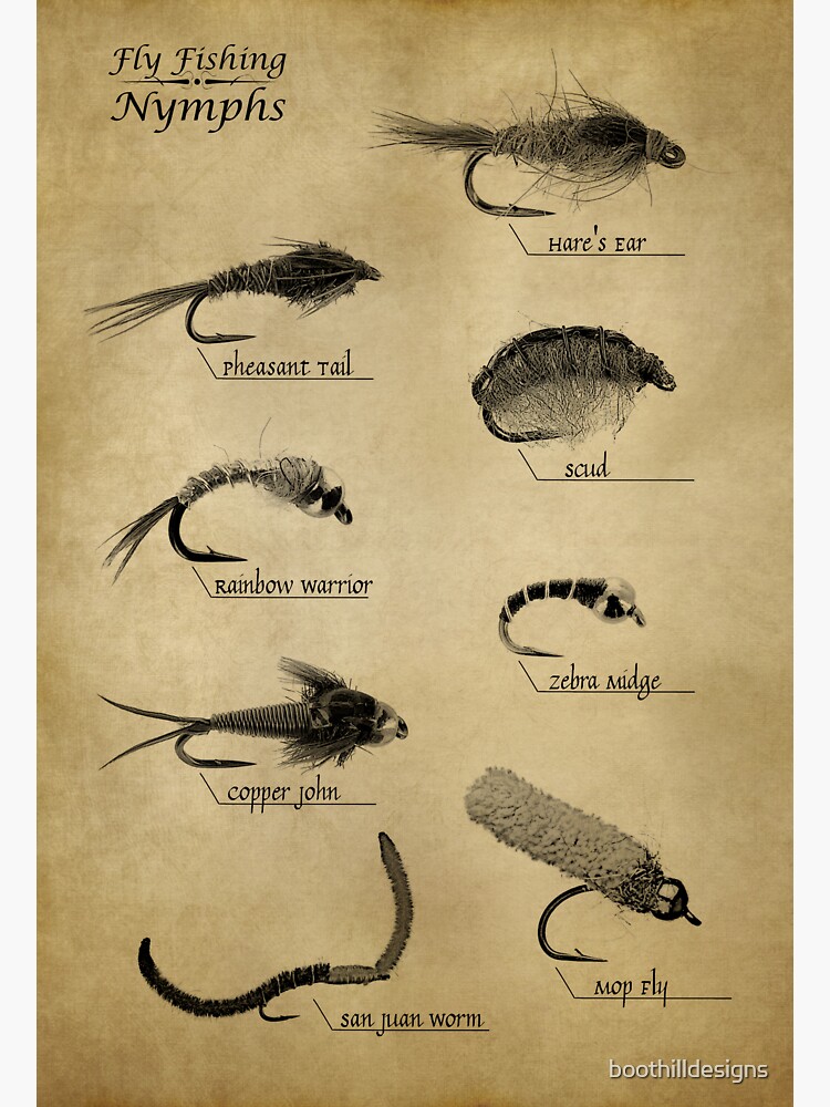 "Fly Fishing Nymphs" Sticker for Sale by boothilldesigns | Redbubble