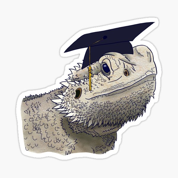 "Bearded dragon with graduation cap" Sticker for Sale by jaimevanm ...